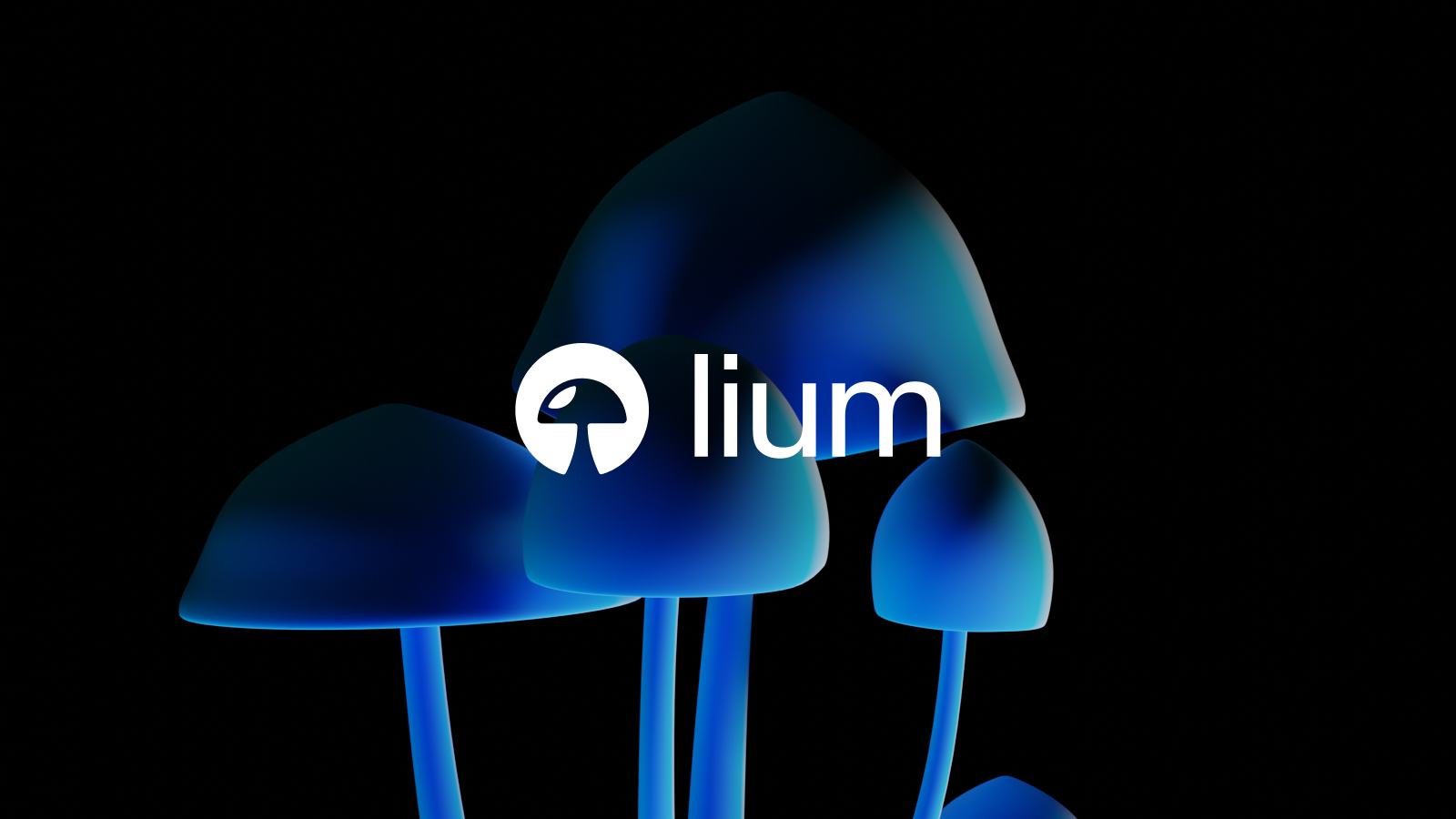 Miner Payments | lium